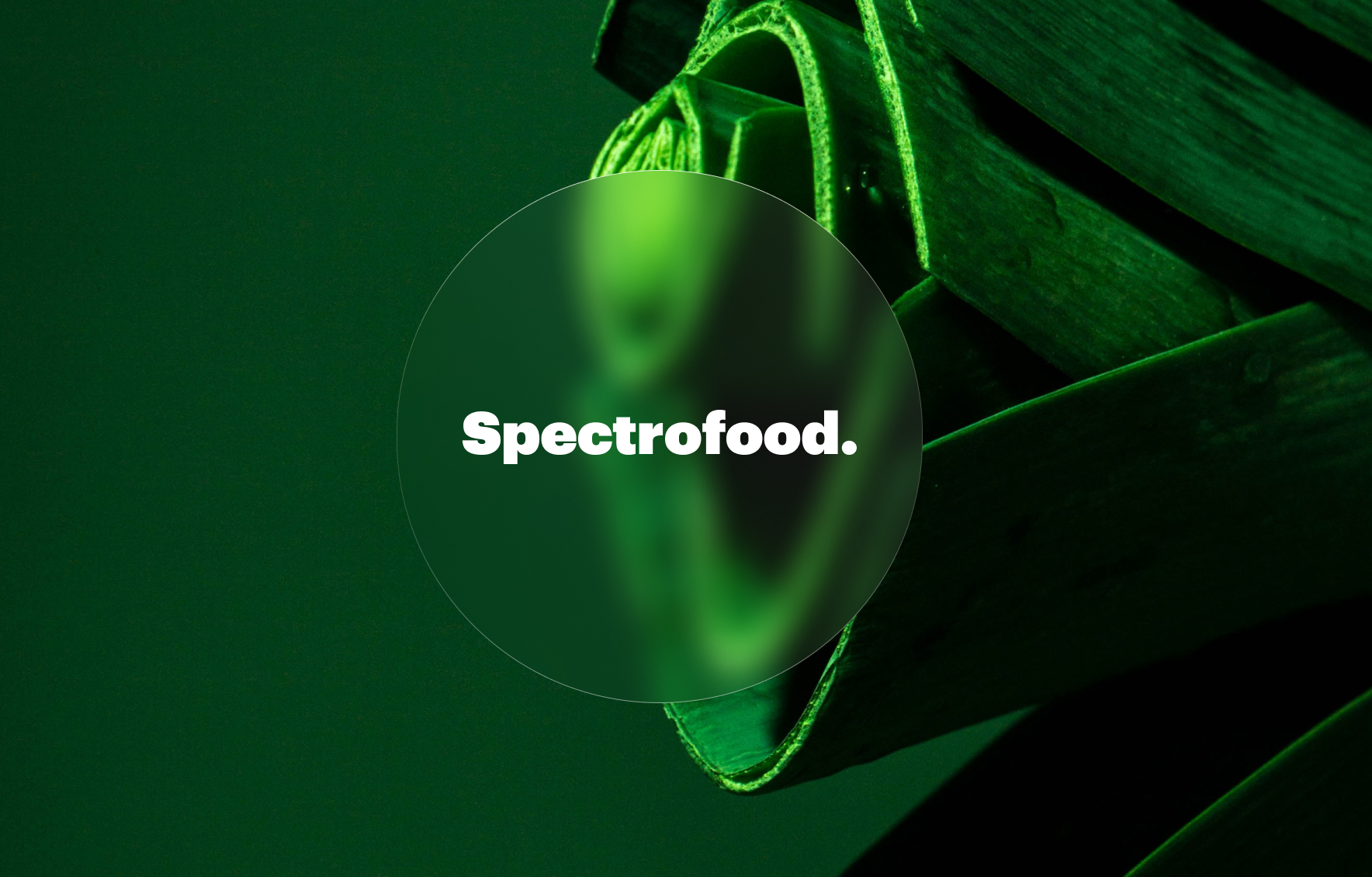 Information Agrifood quality estimation using hyperspectral techniques ...